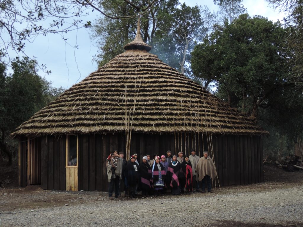 Declaración Pública Mapuche Wallmapu - Enlace Mapuche Internacional